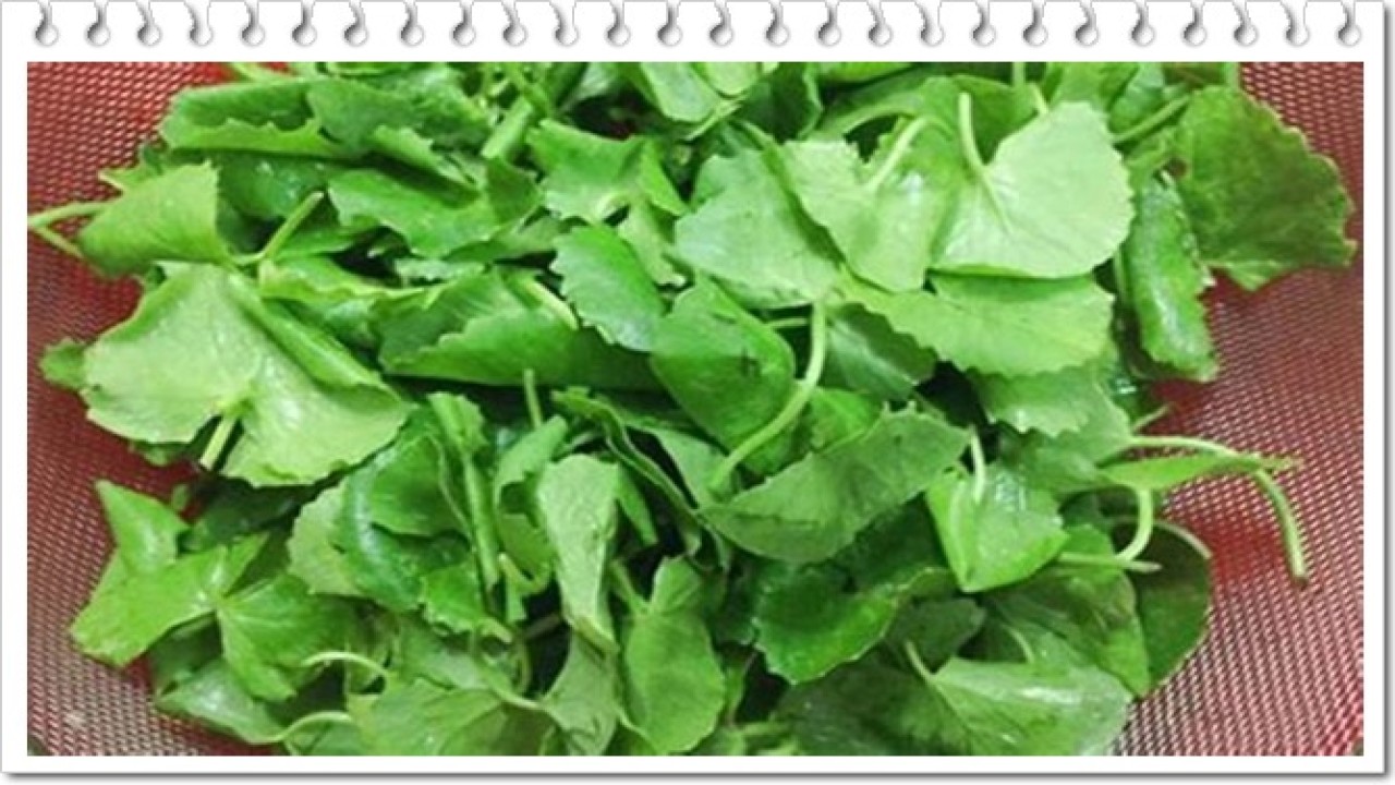 Mendek Otunun Faydaları Nelerdir? Doğal Bir Şifa Kaynağı